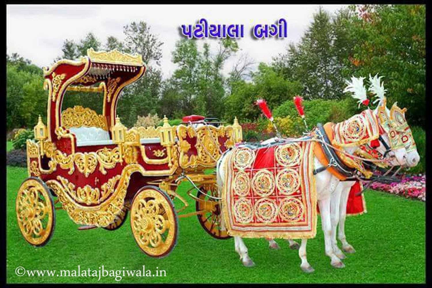 BAGIWALA - MARRIAGE HORSE CART - ANAND - GUJARAT (INDIA)