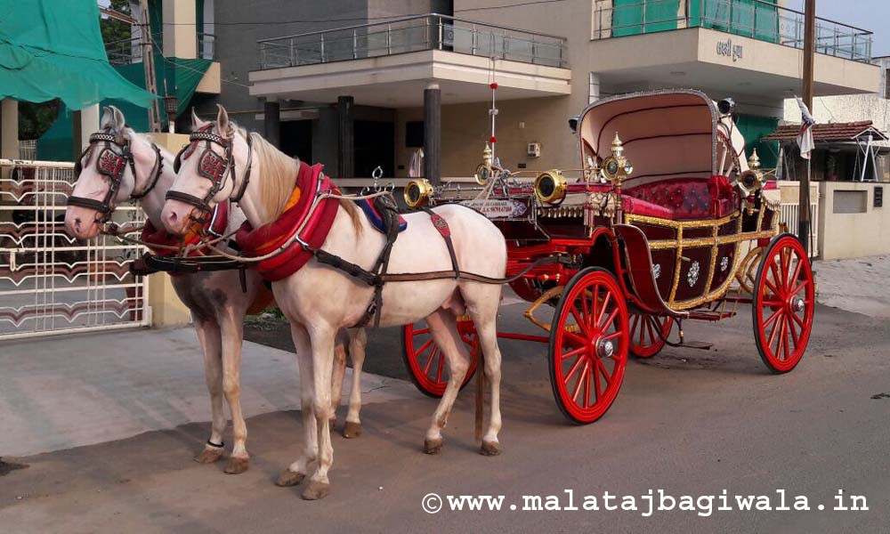 BAGIWALA - MARRIAGE HORSE CART - ANAND - GUJARAT (INDIA)